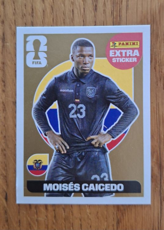 Panini Extra Sticker gold: Moises Caicedo - Selten (Neu und ...