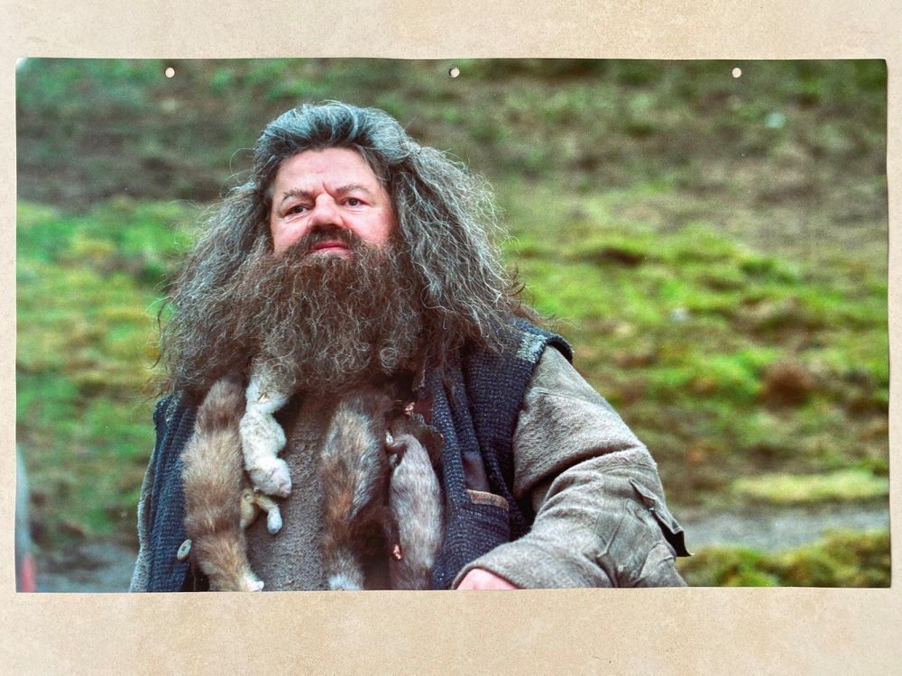 Harry Potter Poster 45 cm x 27,5 Hagrid | Kaufen auf Ricardo