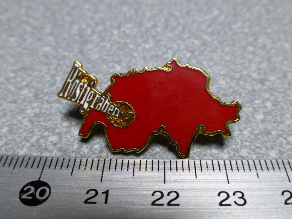 PIN PINS SCHWEIZ (Gebraucht) in Gränichen für CHF 2 – mit Lieferung auf ...