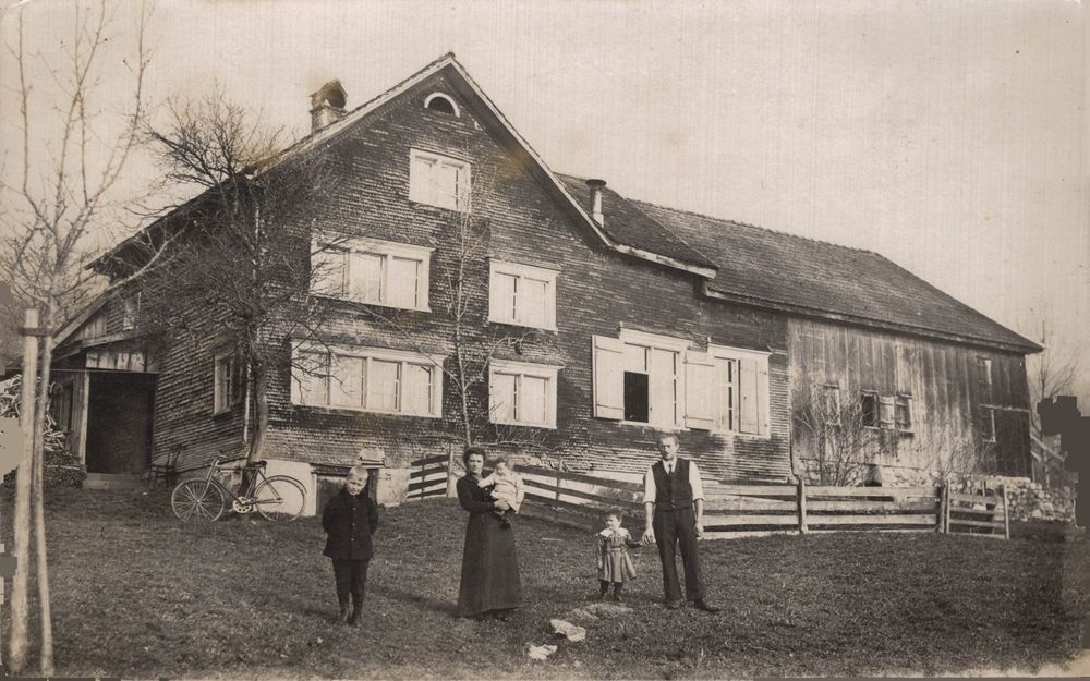 Bauernhaus mit Familie (Gebraucht) in Bronschhofen für CHF 18 – mit Lieferung auf Ricardo kaufen