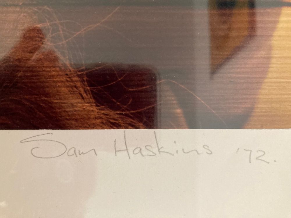 Sam Haskins Photo | Kaufen auf Ricardo