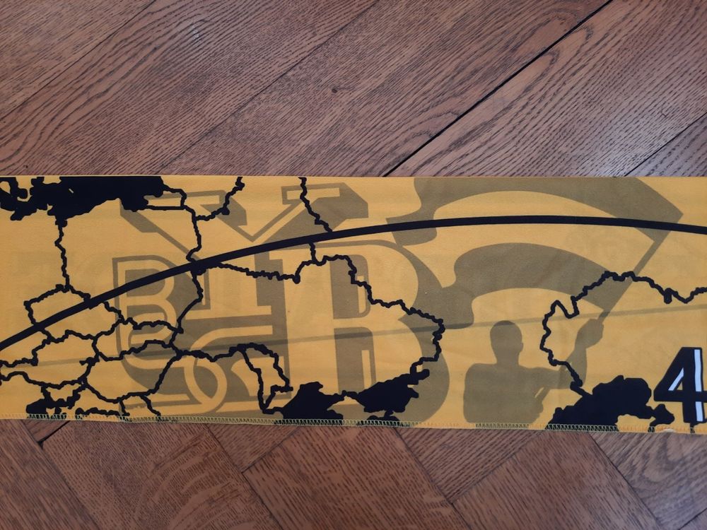 BSC YB Young Boys Bern Schal Ostkurve OKBE (Neu (gemäss Beschreibung ...