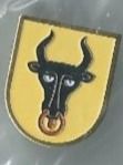 Uri Kantonswappen PIN | Kaufen auf Ricardo