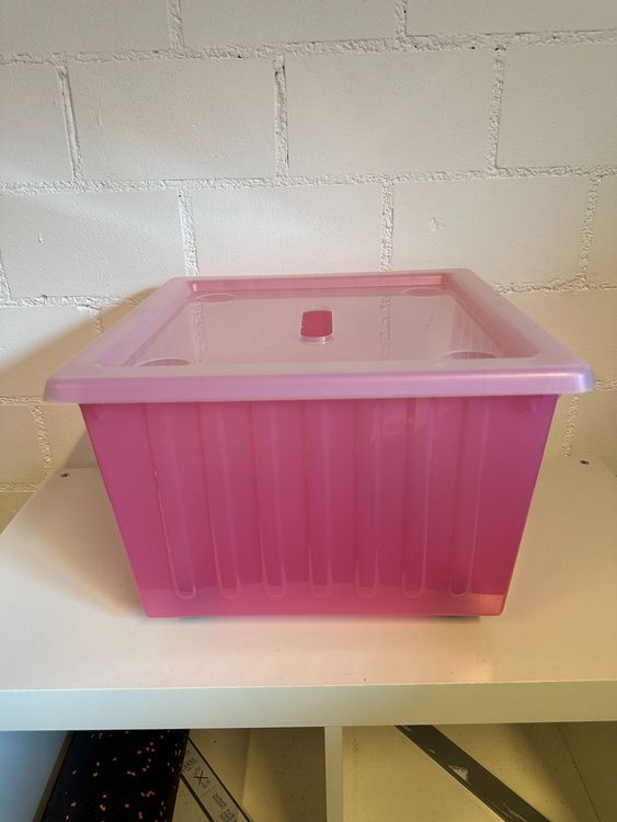 Aufbewahrungsbox mit Rollen von IKEA (Gebraucht) in Urdorf für CHF 1 ...