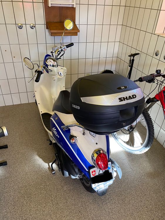 Sym Mio 100 | Kaufen auf Ricardo