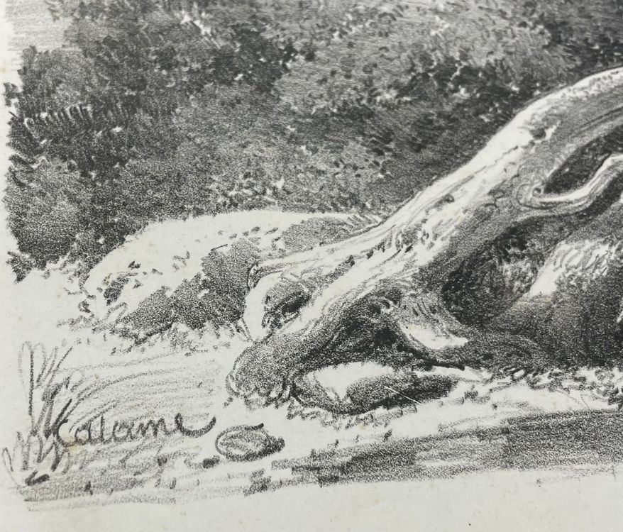 Alexandre Calame (1810-1864) Lithographie (Gebraucht) in Root für CHF ...