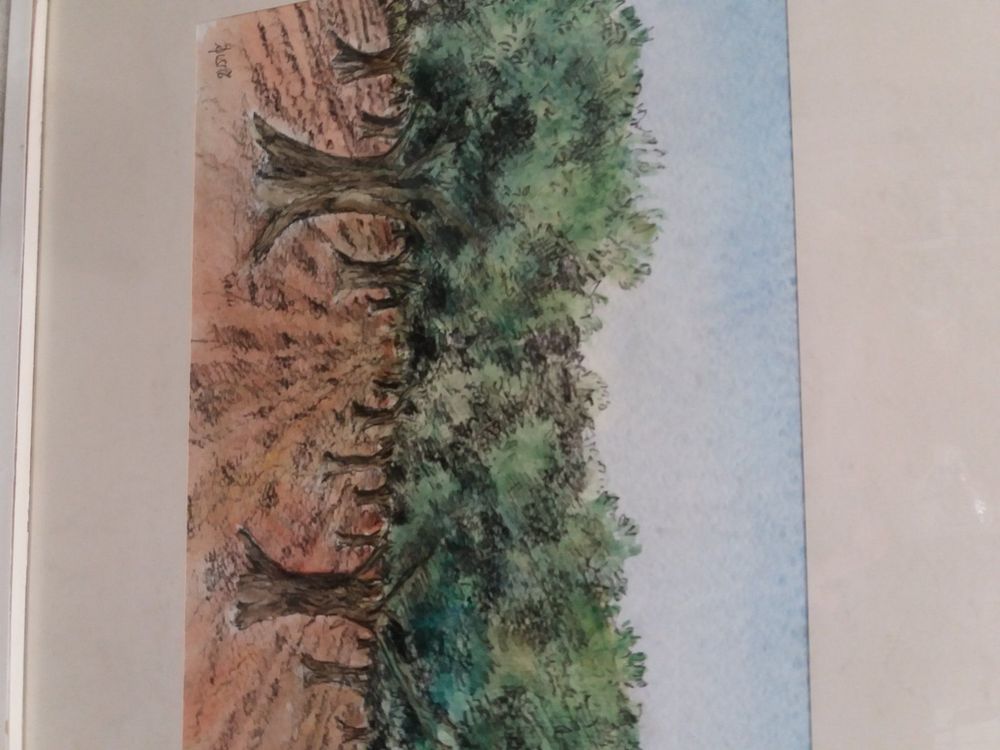 Bild Aquarell Martin Duss (Gebraucht) in für CHF 100 – mit Lieferung ...