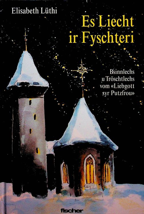 Elisabeth Lüthi Es Liecht ir Fyschteri Mundart (Gebraucht) in Reitnau ...