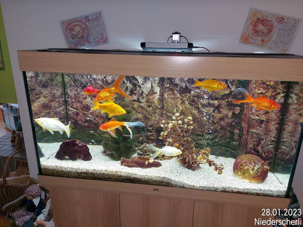 Aquarium Juwel Rio 350 | Kaufen auf Ricardo