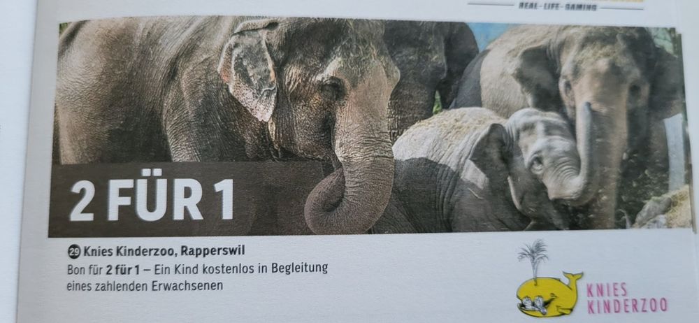 Knie Kinderzoo Rapperswil: 2 für 1 | Kaufen auf Ricardo