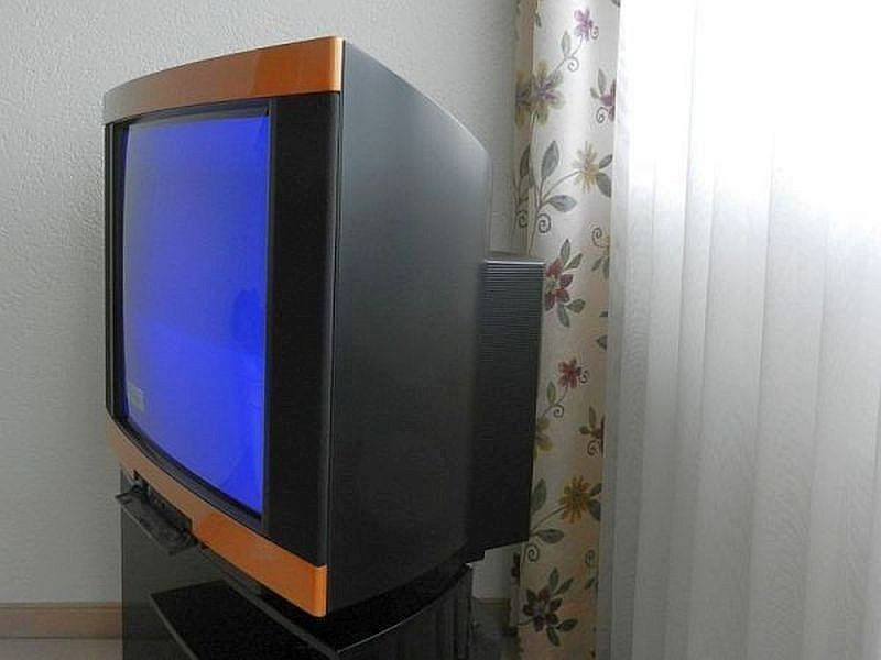 Fernseher Loewe Arcade analog (Gebraucht) in Würenlos für CHF 11 – nur ...