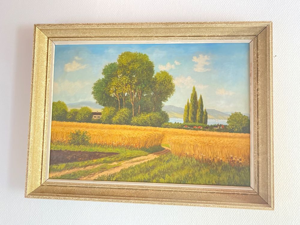 Landschaft Ährenfeld | Kaufen auf Ricardo