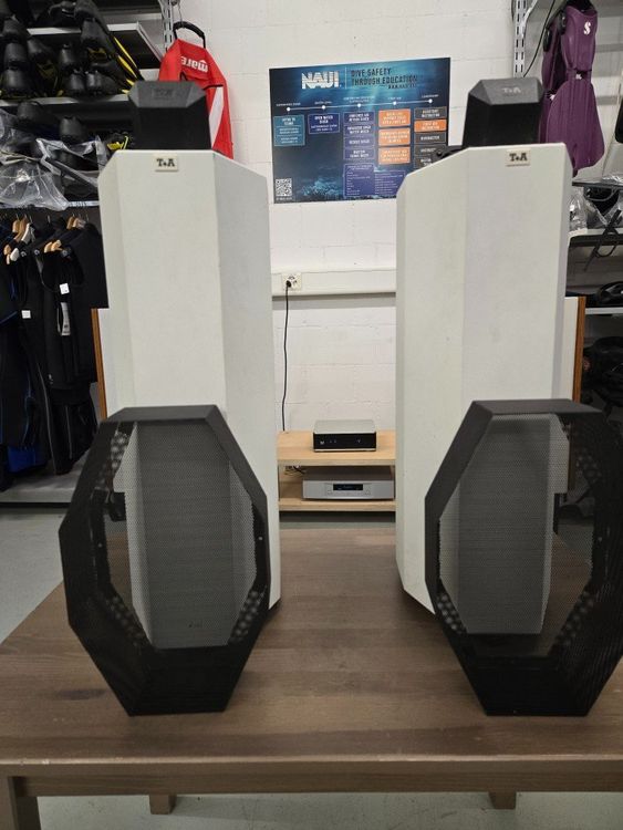 T+A Pulsar Tab 620 E | Kaufen auf Ricardo