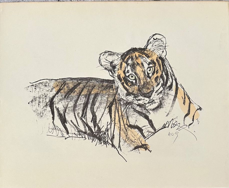 Fritz Hug (1921-1989) Tieger Lithographie Handsigniert | Kaufen auf Ricardo