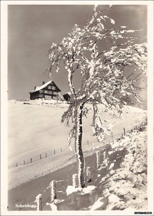Wald ZH // 1936 Alp Scheidegg // Winter (Gebraucht) in Basel für CHF 14 – mit Lieferung auf ...