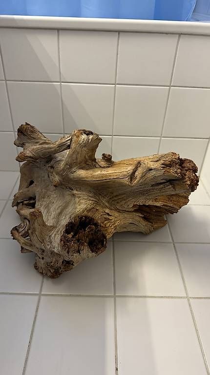 Kratz-Wurzel für Katzen (Gebraucht) in Zollikon für CHF 30 – nur ...