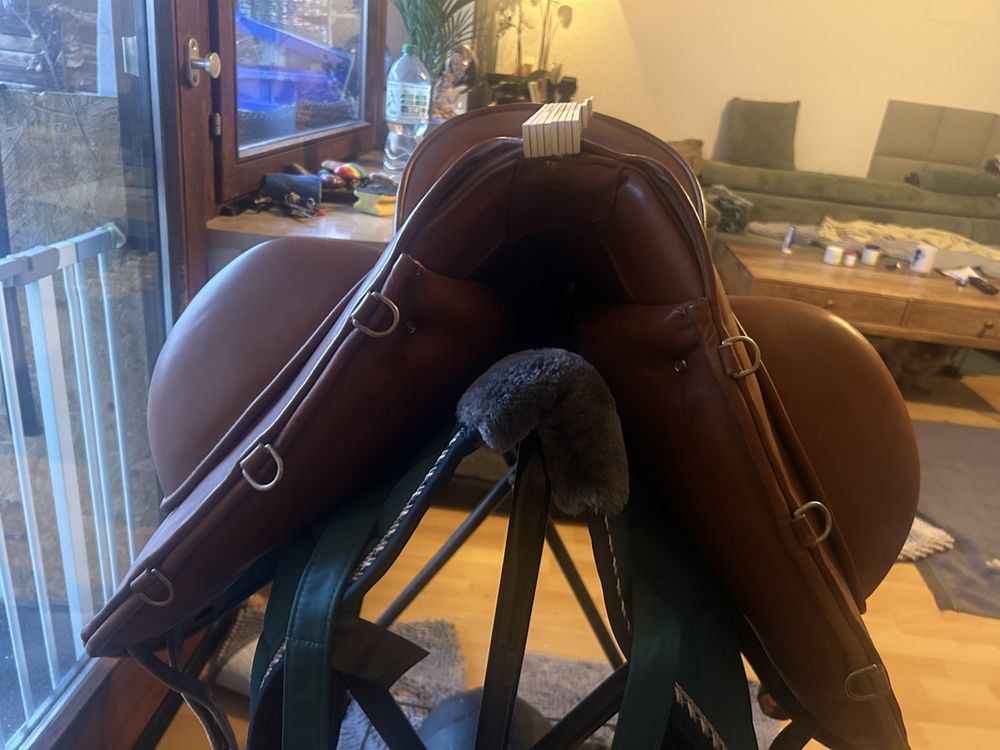 Signum Working Equitation (Neu und originalverpackt) in Tenniken für ...