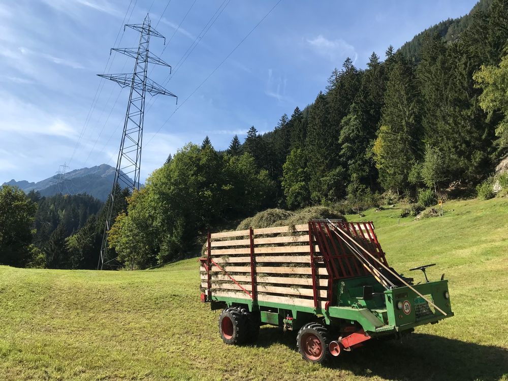 Zu verkaufen Schilter LT 1 (Gebraucht) in Intschi für CHF 2400 – nur ...