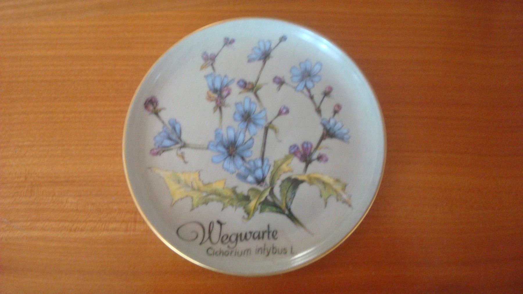 Kleiner Teller "Wegwarte" Kaiser Porzellan 10 cm (Gebraucht) in ...