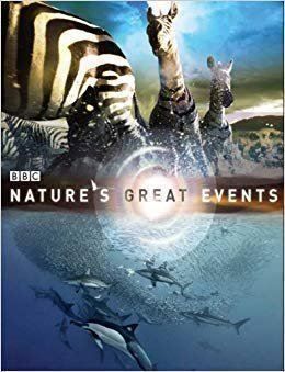 DVD NATURES GREAT EVENTS (Gebraucht) in Rohrbach für CHF 1 – mit ...