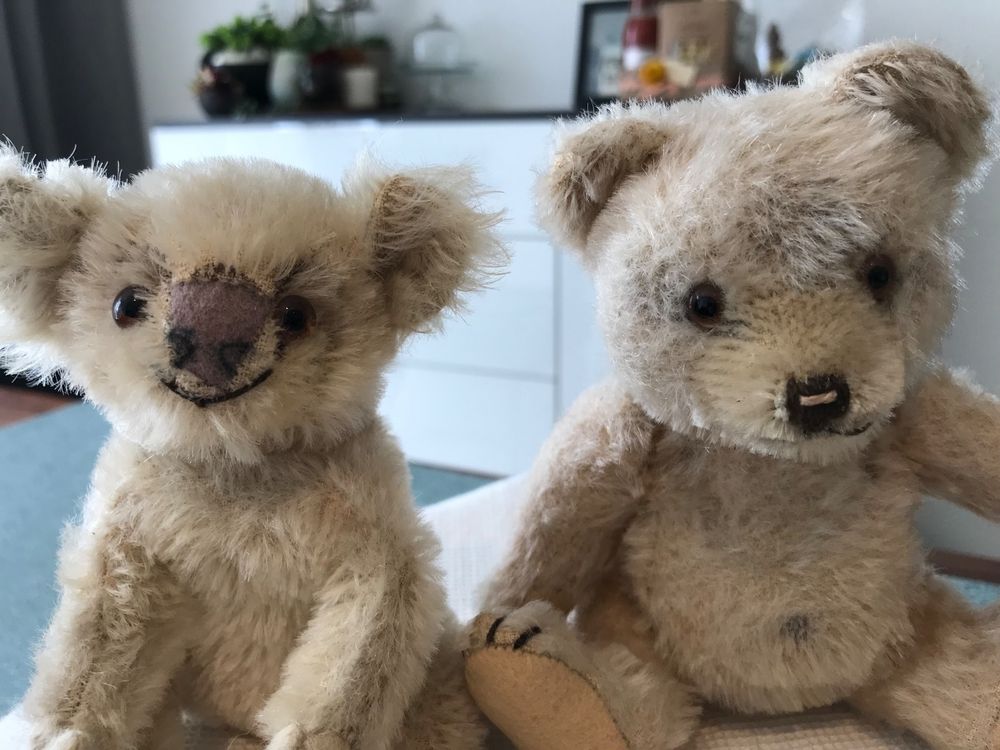 Steiff Jacky+Koala Bär (Gebraucht) in Schönenberg ZH für CHF 123 – mit ...