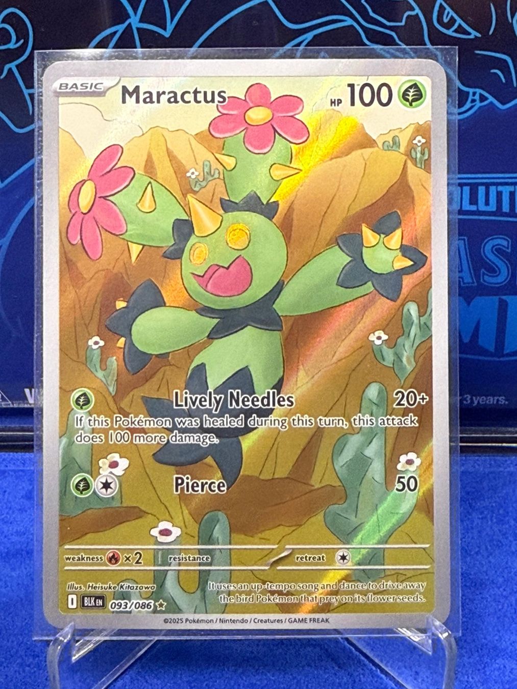 Pokemon - Black Bolt BLK EN 093 Maractus (Gebraucht) in Ostermundigen ...