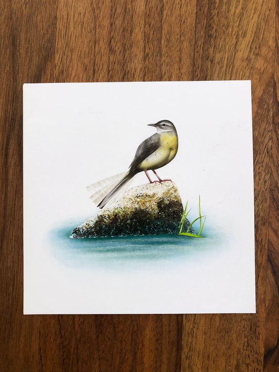 Original kleines Bild eines Vogels (Bachstelze) (Gebraucht) in Versoix ...