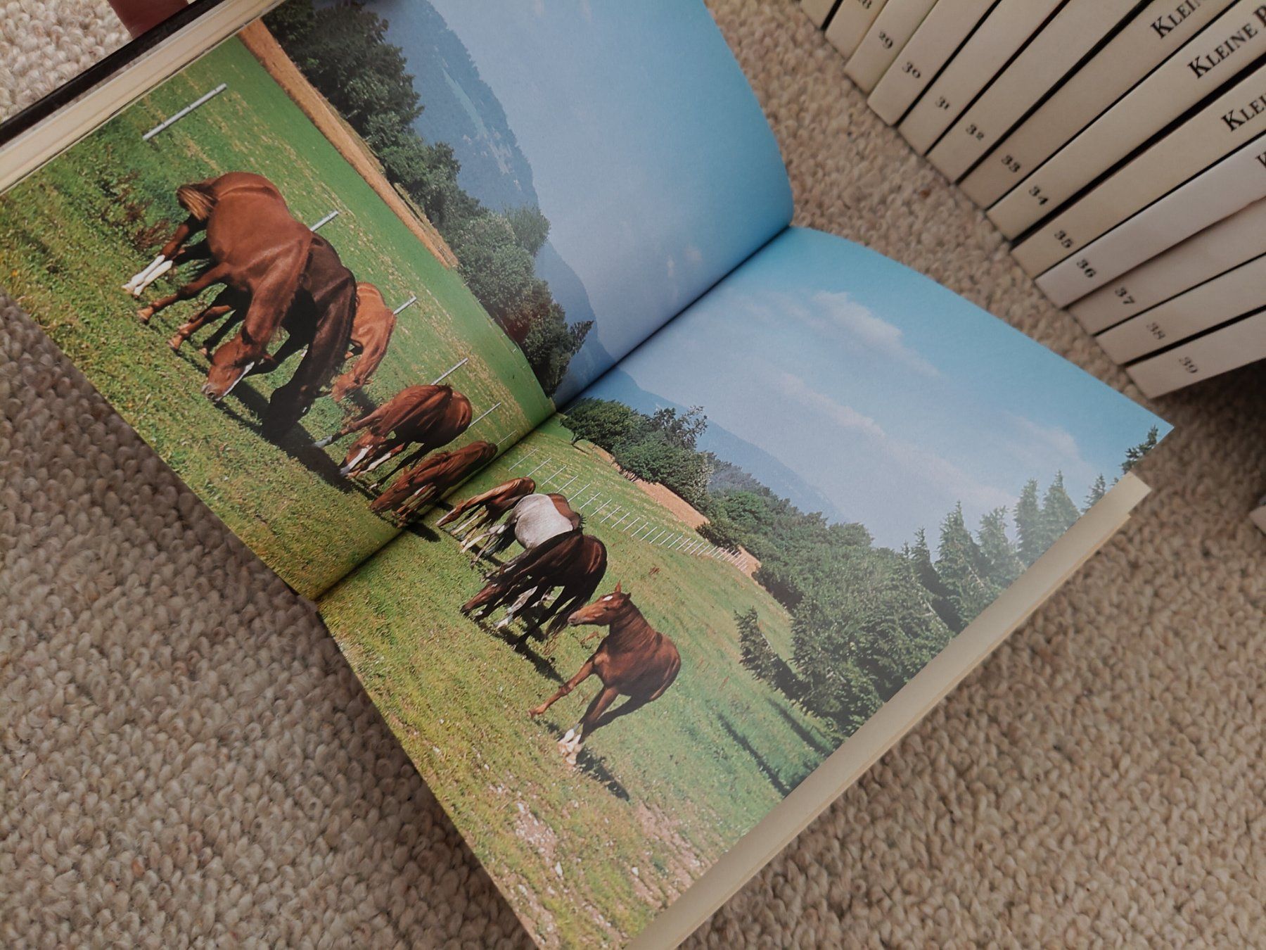 Kleine Pferdegeschichten Stiftung für das Pferd (Neu (gemäss ...