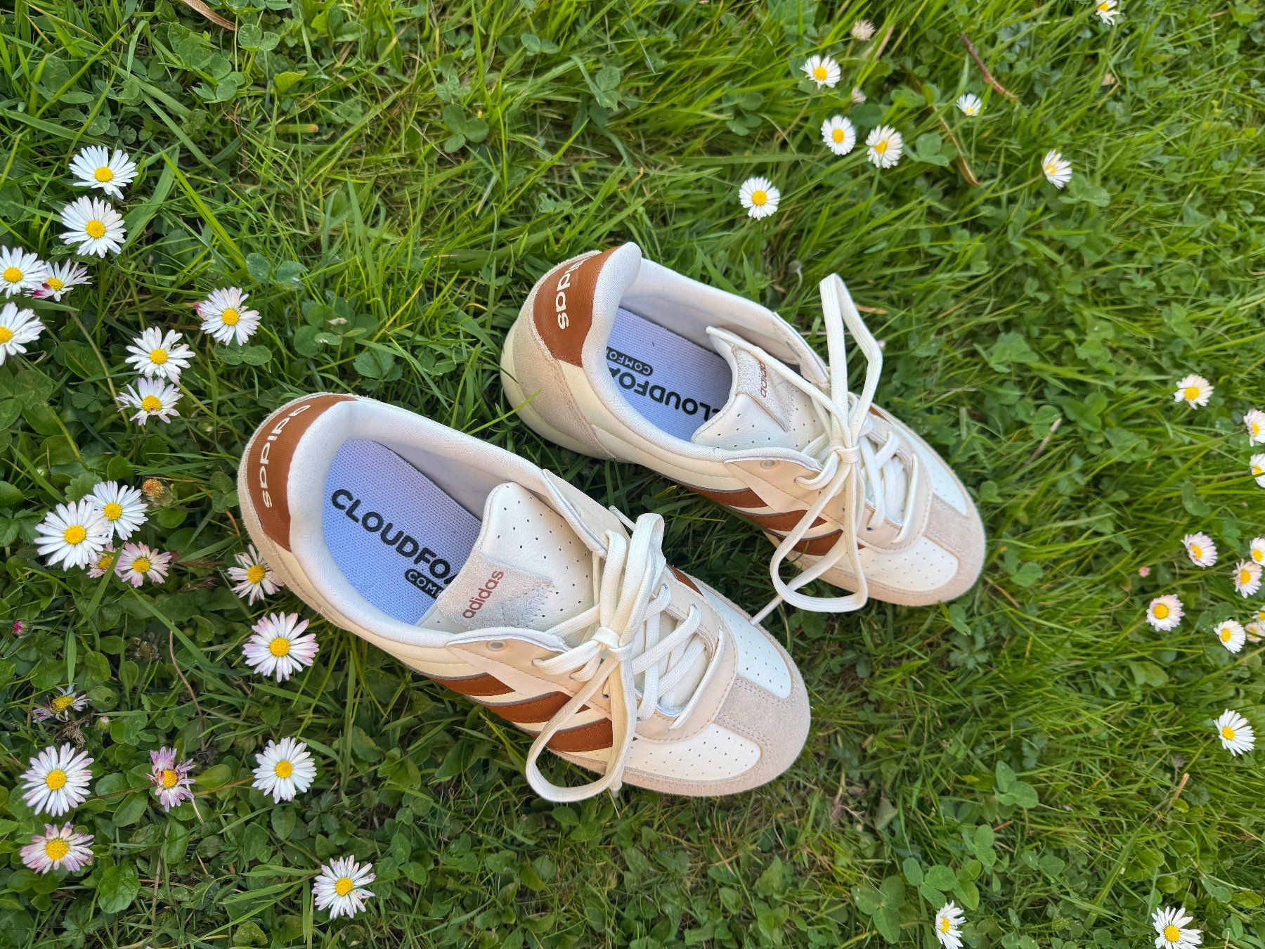 Turnschuhe Adidas (Gebraucht) in Oberwil BL für CHF 17 – mit Lieferung ...