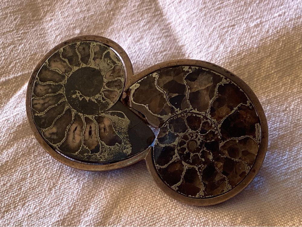 Ammonite pyritée montée en broche , bijou ancien 7x4 cm. (Gebraucht) in Luc (Ayent) für CHF 65 ...