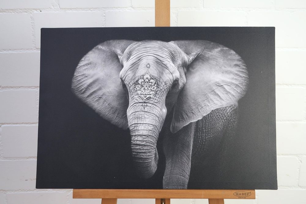 Leinwanddruck Elefant | Kaufen auf Ricardo