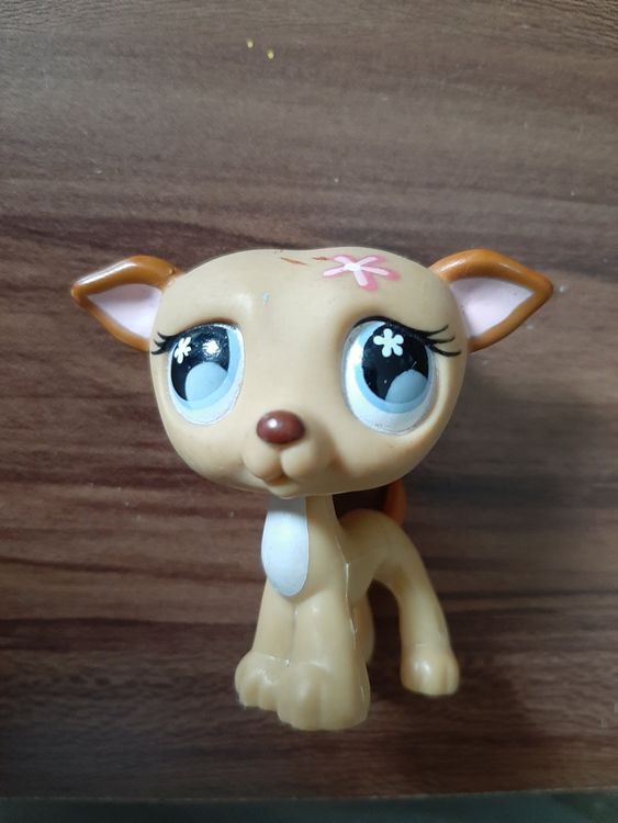 LPS Littlest Pet Shop rare Greyhound sparkle eyes #498 (Gebraucht) in ...