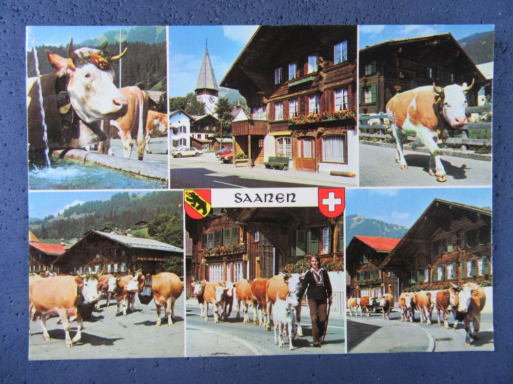 AK BEO SAANEN KUHHERDE IM DORF | Kaufen auf Ricardo