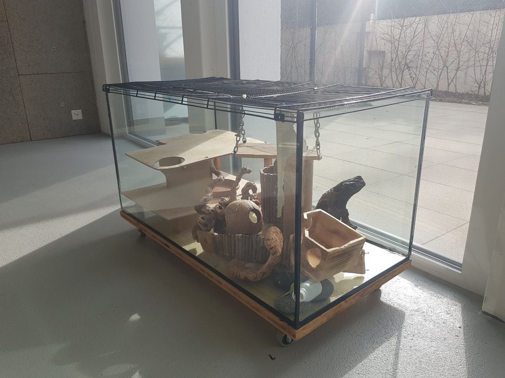 Terrarium 100x50x50cm inklusive Rollwagen und Zubehör (Gebraucht) in ...