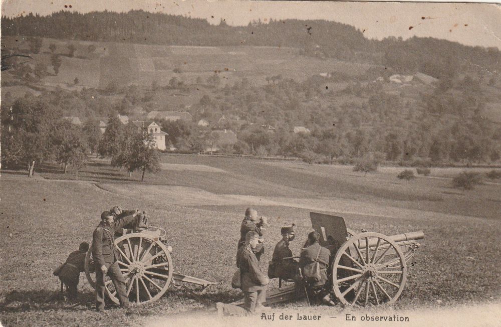 Auf der Lauer (Gebraucht) in Rorschacherberg für CHF 5 – mit Lieferung ...
