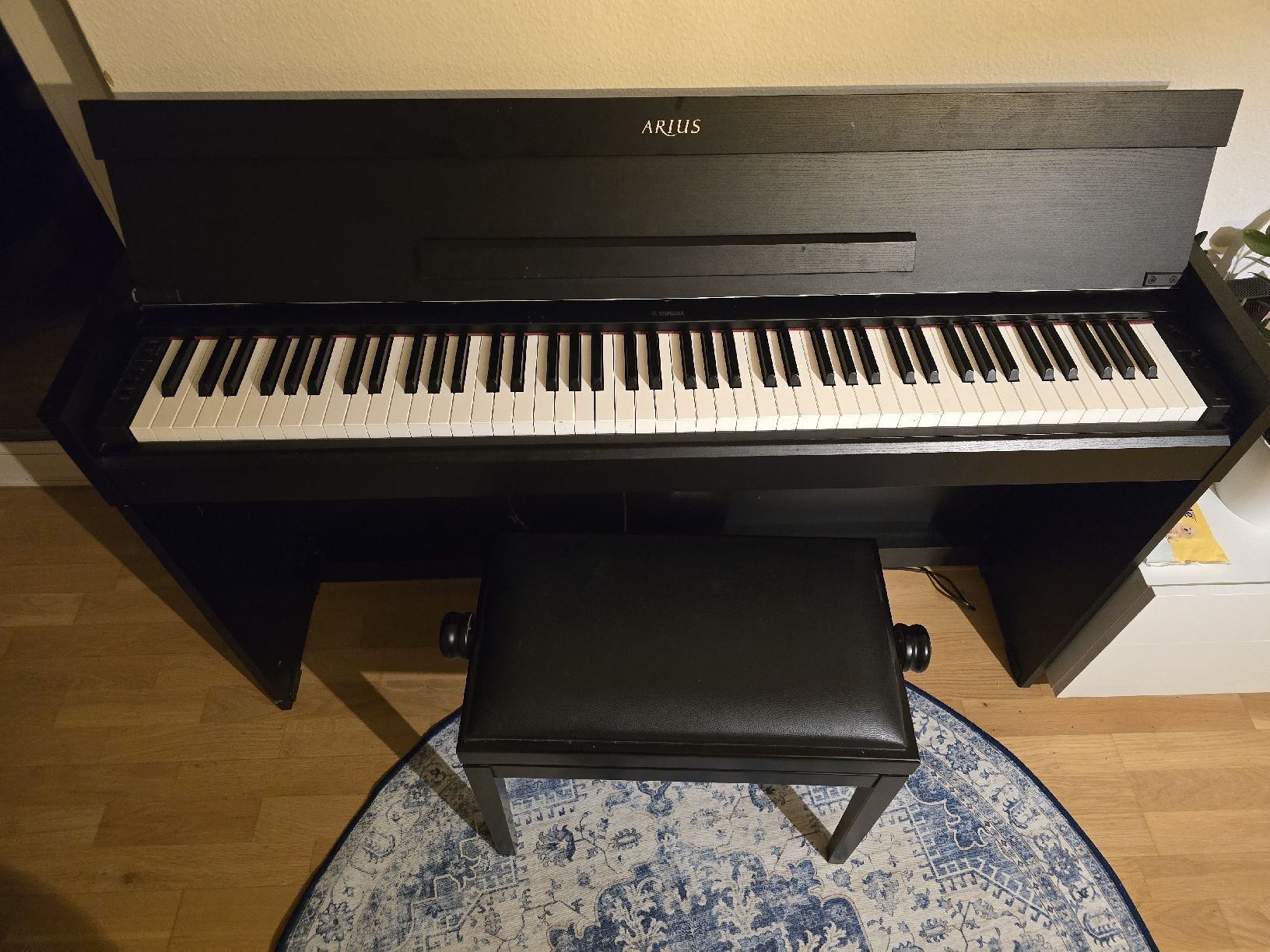 yamaha arius s51 E-Piano (D'occasion) à Widen pour CHF 600 – retrait ...