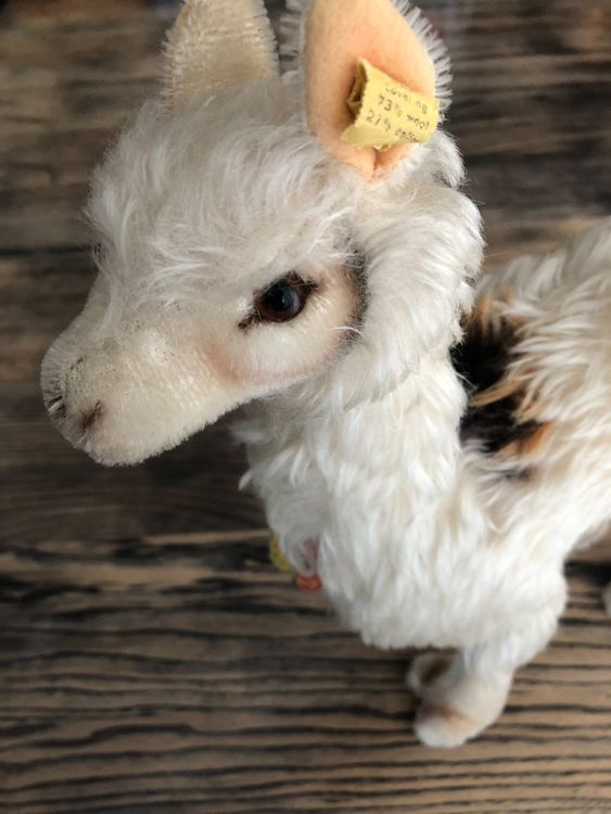 Original STEIFF Lama Stofftier Sammelfigur (Gebraucht) in Berg am ...
