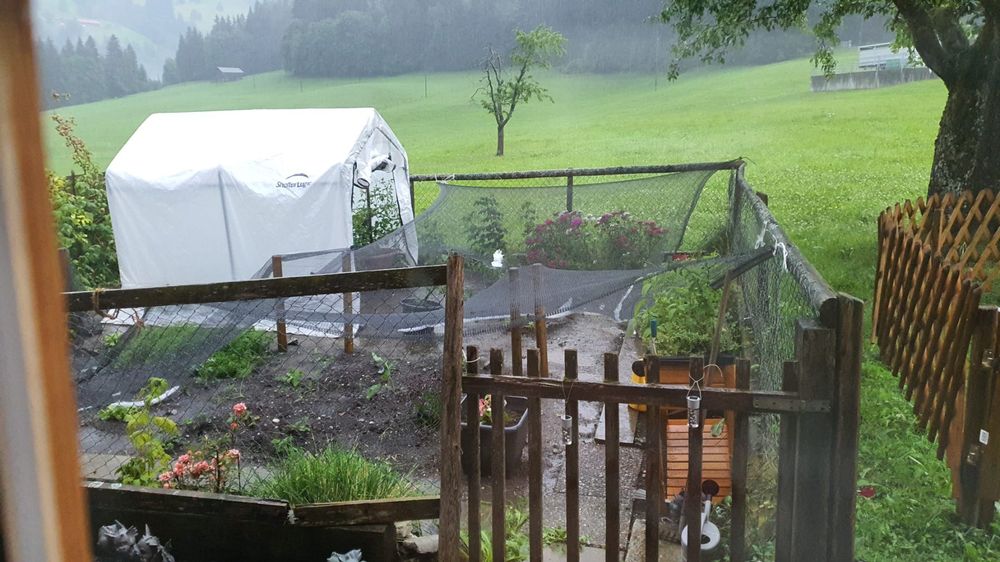 Treibhaus aus Plastik gebraucht (Gebraucht) in Zwischenflüh für CHF 50 ...