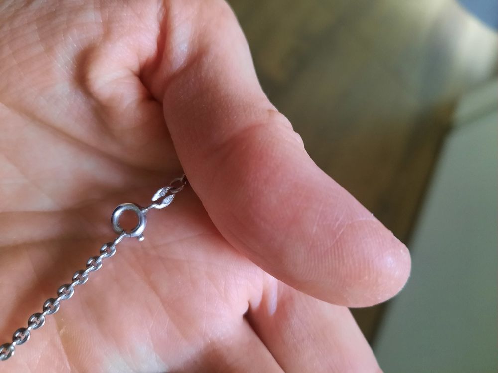 silberkette 925 neu (Gebraucht) in Pfeffikon LU für CHF 15 – mit Lieferung auf Ricardo kaufen