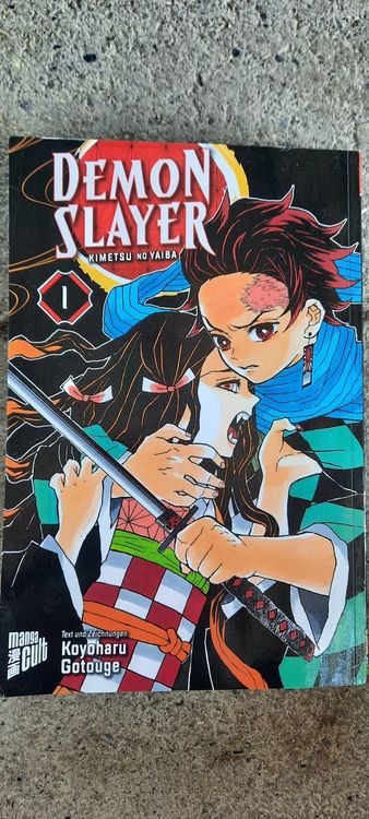 Demon Slayer 1 | Kaufen auf Ricardo