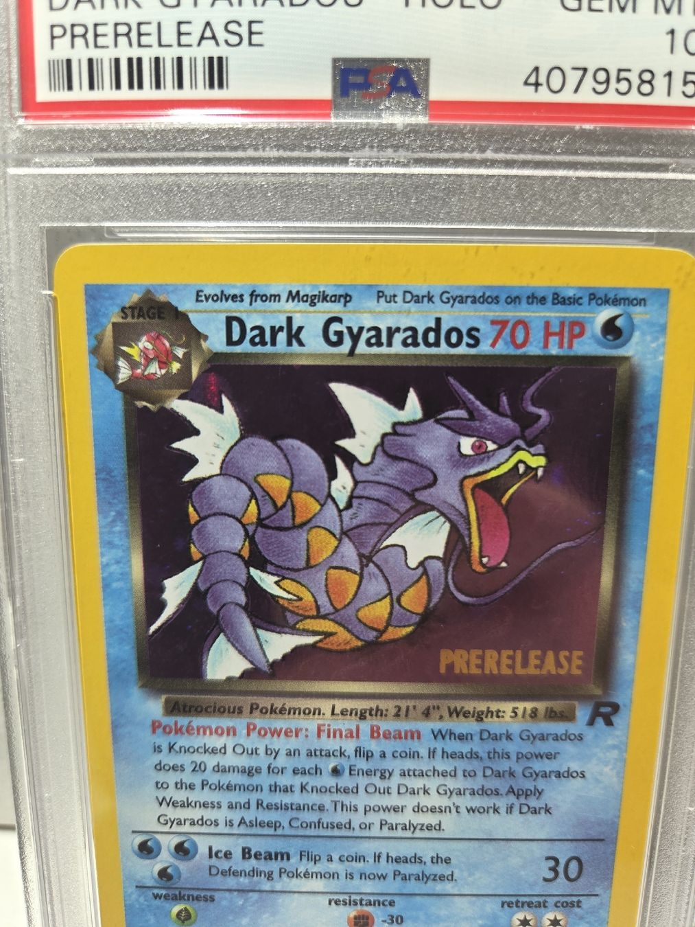 Dark Gyarados HOLO 2000 Rocket PSA 10 - Prerelease (Gebraucht) in ...