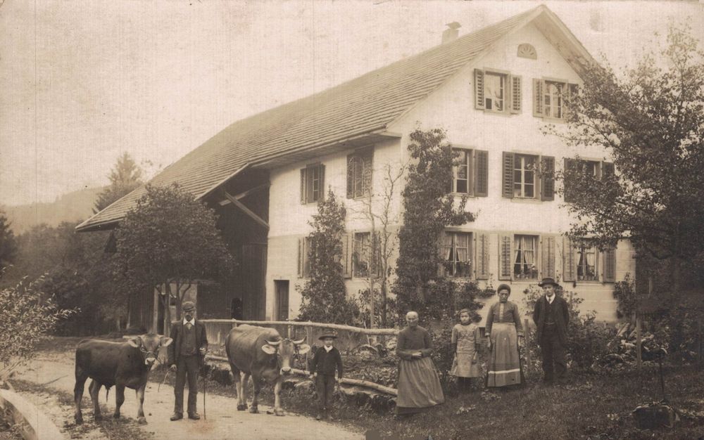 Bauernhaus mit Scheune, Affoltern a.A., alte Hedingerstrasse (Gebraucht) in Bronschhofen für CHF ...
