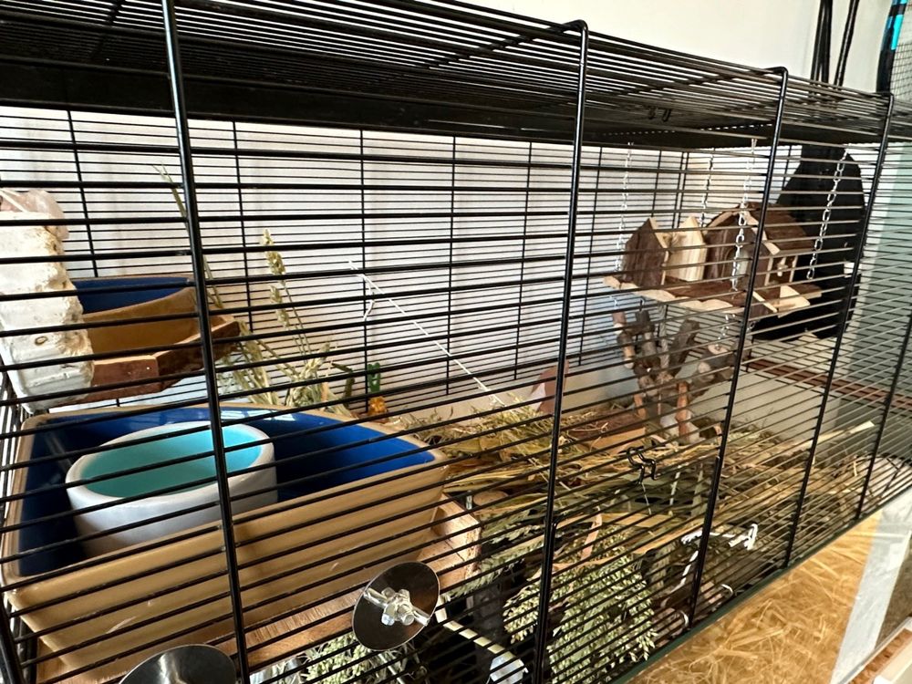 Mäusekäfig (Gebraucht) in für CHF 21 – nur Abholung auf Ricardo kaufen