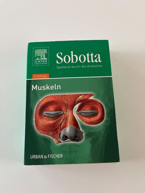 Sobotta Lernkarten Muskeln (Gebraucht) in Luzern für CHF 5 – mit ...
