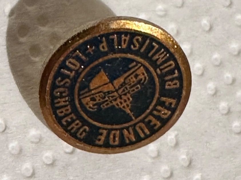 Blüemlisalp / Lötschberg Pin + (Gebraucht) in Gutenswil für CHF 4 – mit Lieferung auf Ricardo kaufen