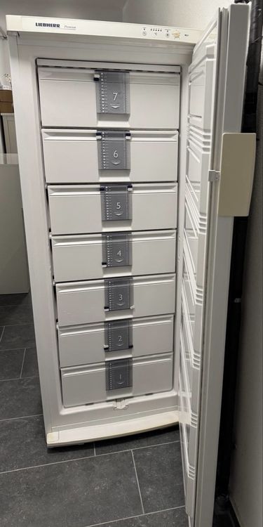LIEBHERR Premium Gefrierschrank, geräumig, guter Zustand! (Gebraucht ...