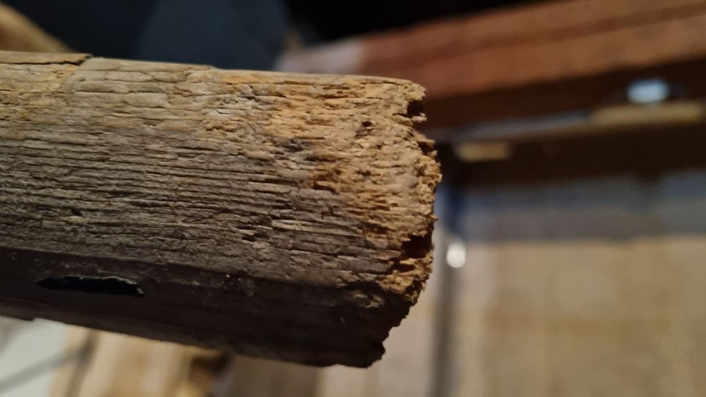 Alte defekte kurz Leiter | Kaufen auf Ricardo