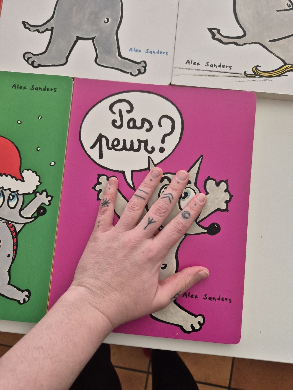 ALEX SANDERS - collection 7 livres cartonnés "le Loup" (D'occasion) à ...