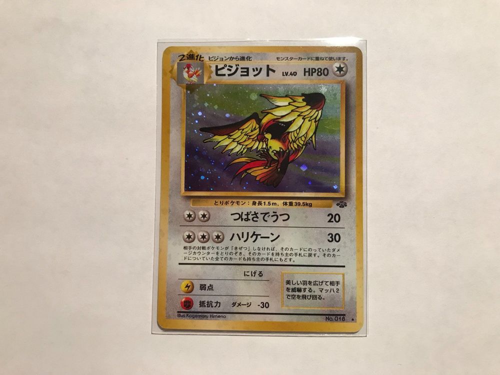 Pidgeot holo Jungle Japanese | Kaufen auf Ricardo