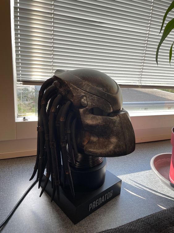 Predator 3D Ultimate Jagd Trophäe Kopf Büste Disc Blu-ray | Kaufen auf ...